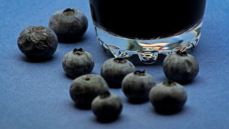 Nalewka z borówki amerykańskiej - przepis na trunek